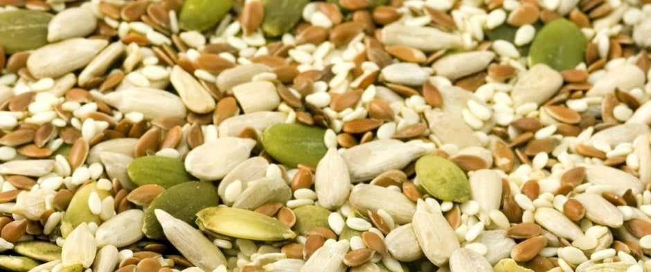 Semillas y frutos secos ecológicos | Alimentación Saludable – Alimenta ...